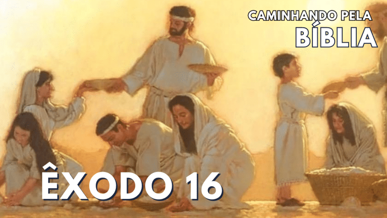 Êxodo 16 estudo e interpretação | Patricia Alves