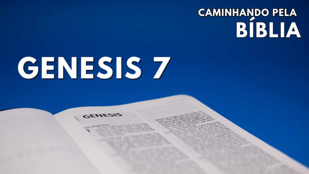 Gênesis 7 estudo e interpretação | Patricia Alves
